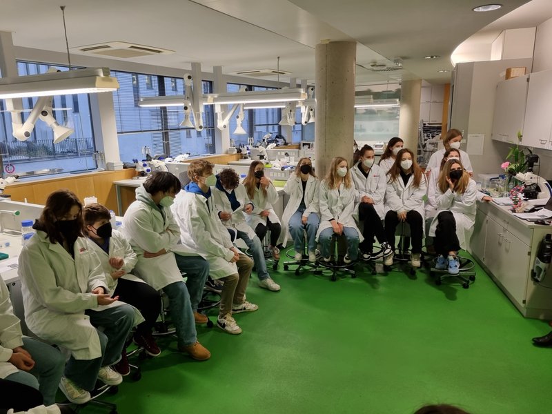 Modul: Im Vienna Open Lab