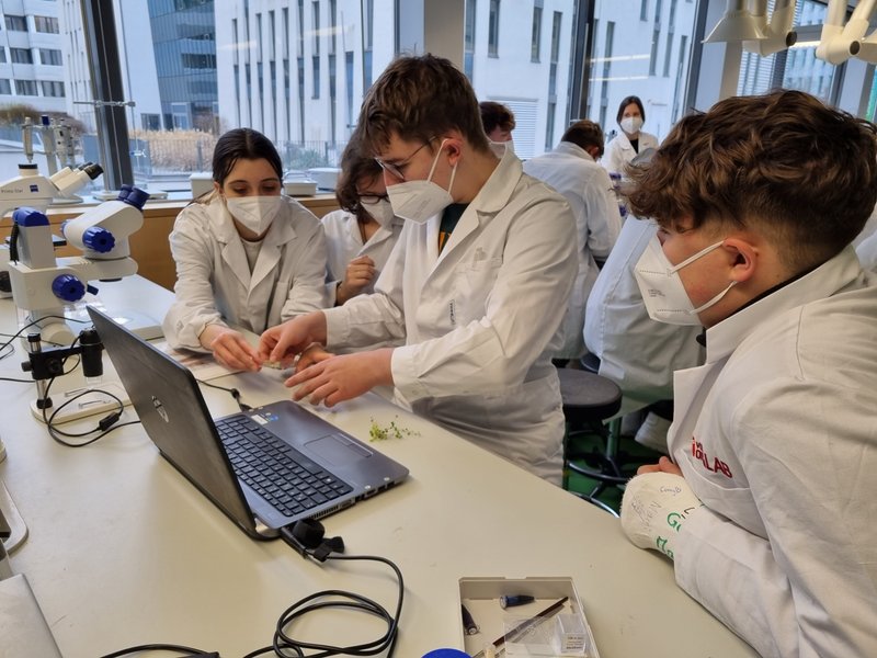 Modul: Im Vienna Open Lab